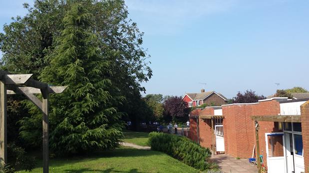 Home | St. William of Perth Catholic Primary School