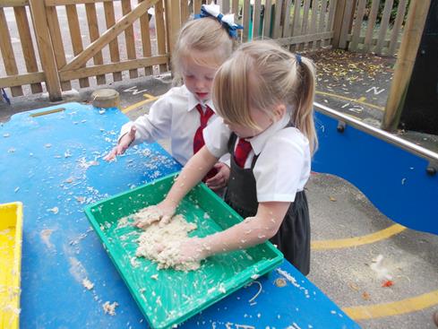 Home | St. William of Perth Catholic Primary School